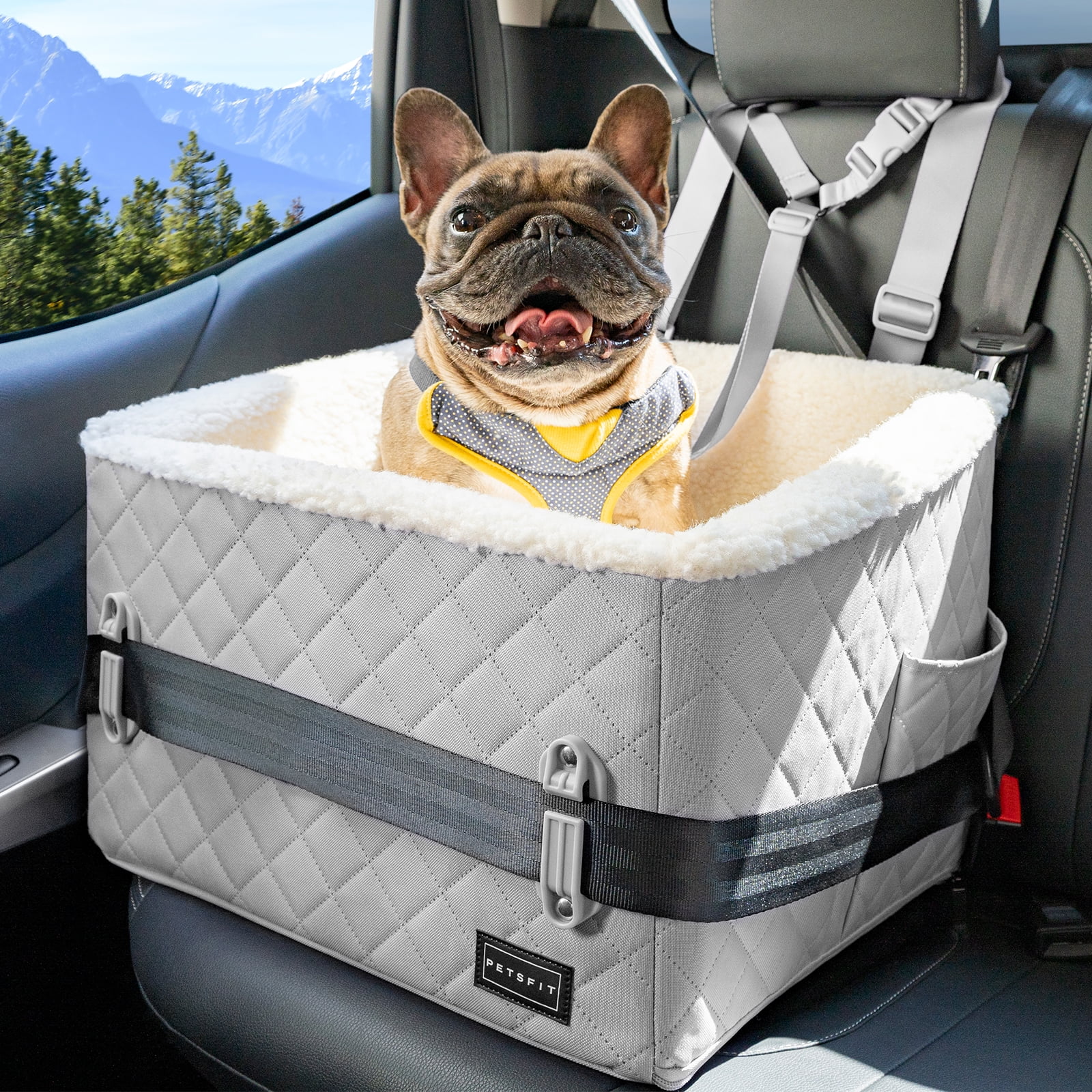 PETSFIT Small Dog Car Seat, Soft Foam Dog Booster Car Seat with ...