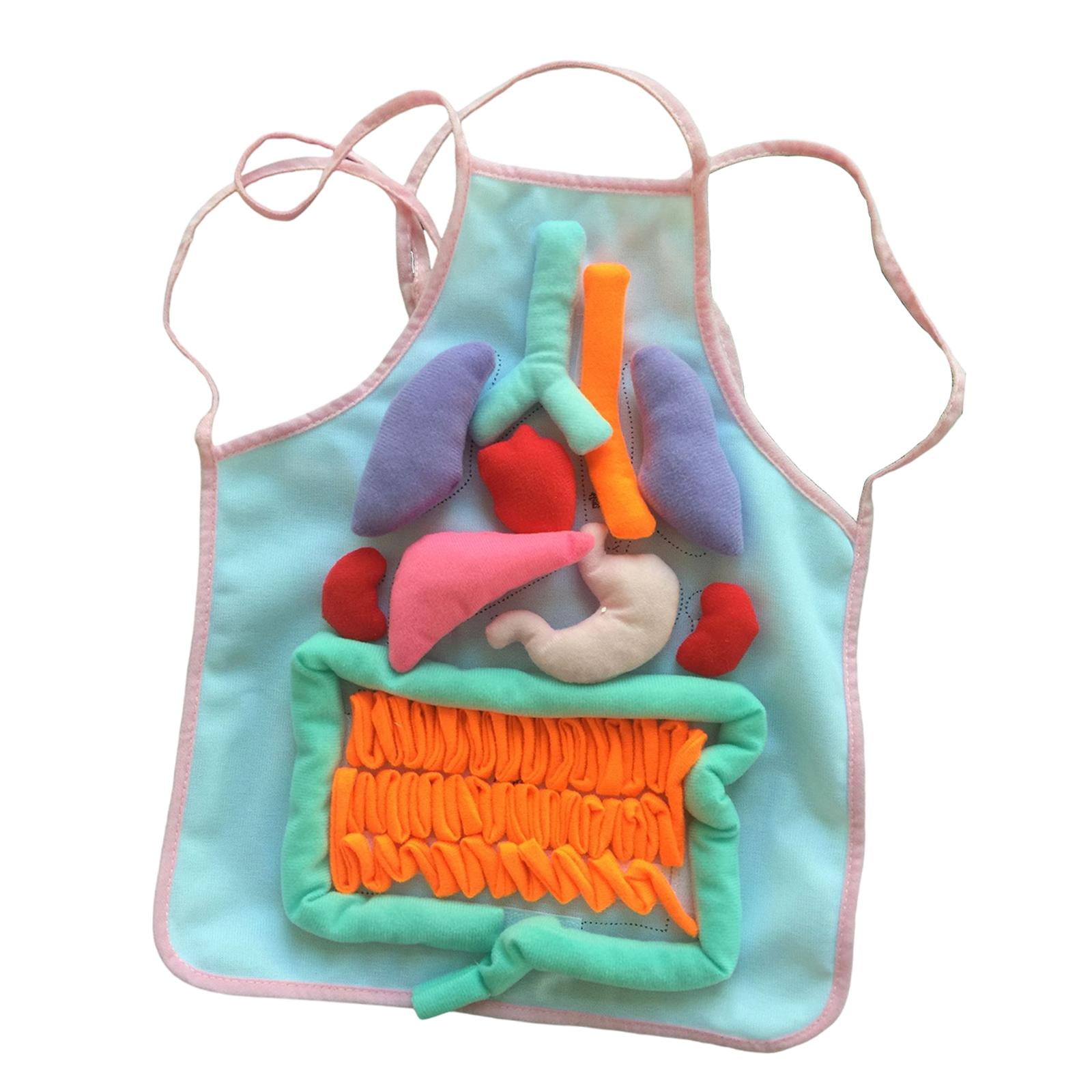 PETSOLA 3D Organ Apron Aprons for Kid Three dimensional Educational ...
