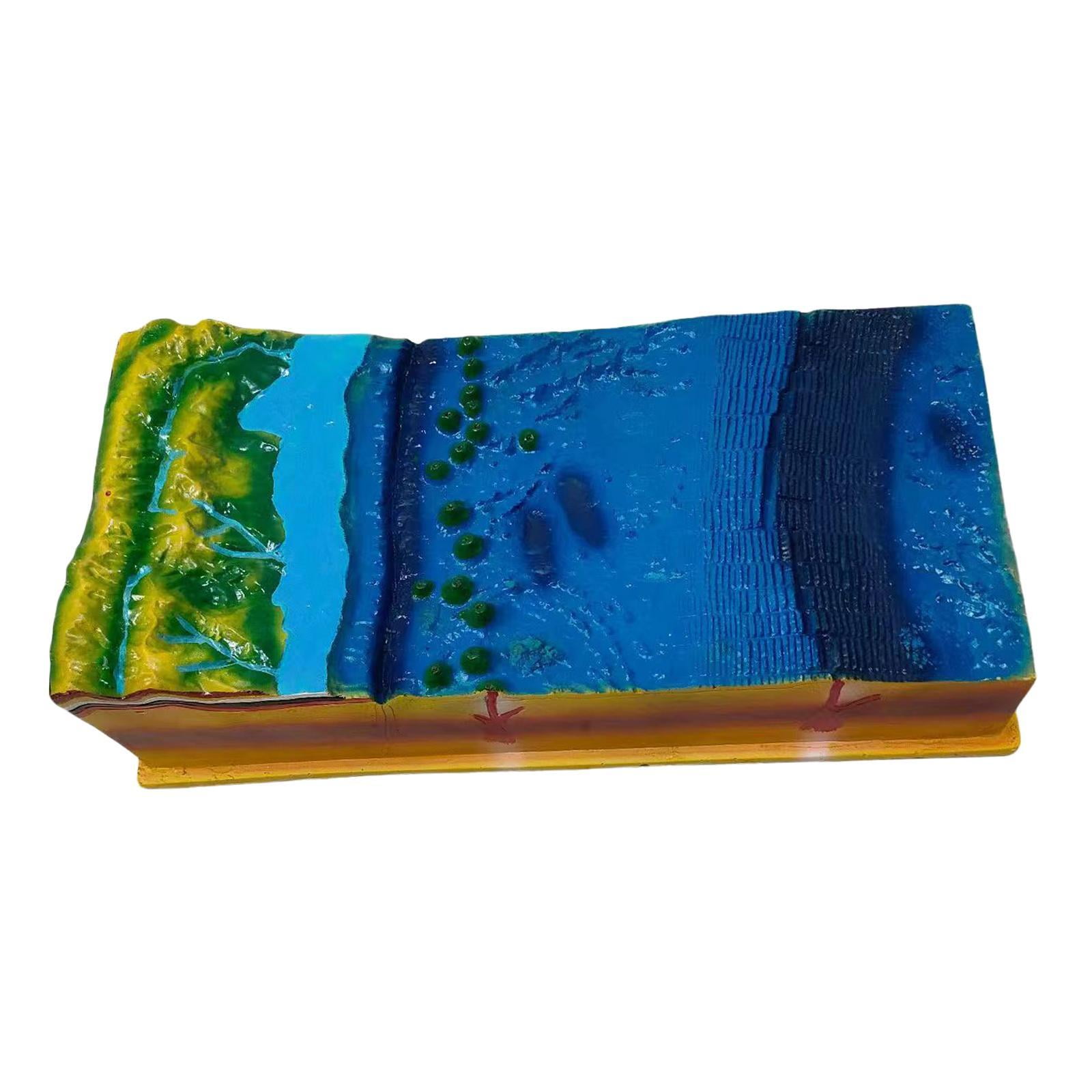 PETSOLA Geographical Teaching Aids 3D Plate Tectonics Model Sturdy ...
