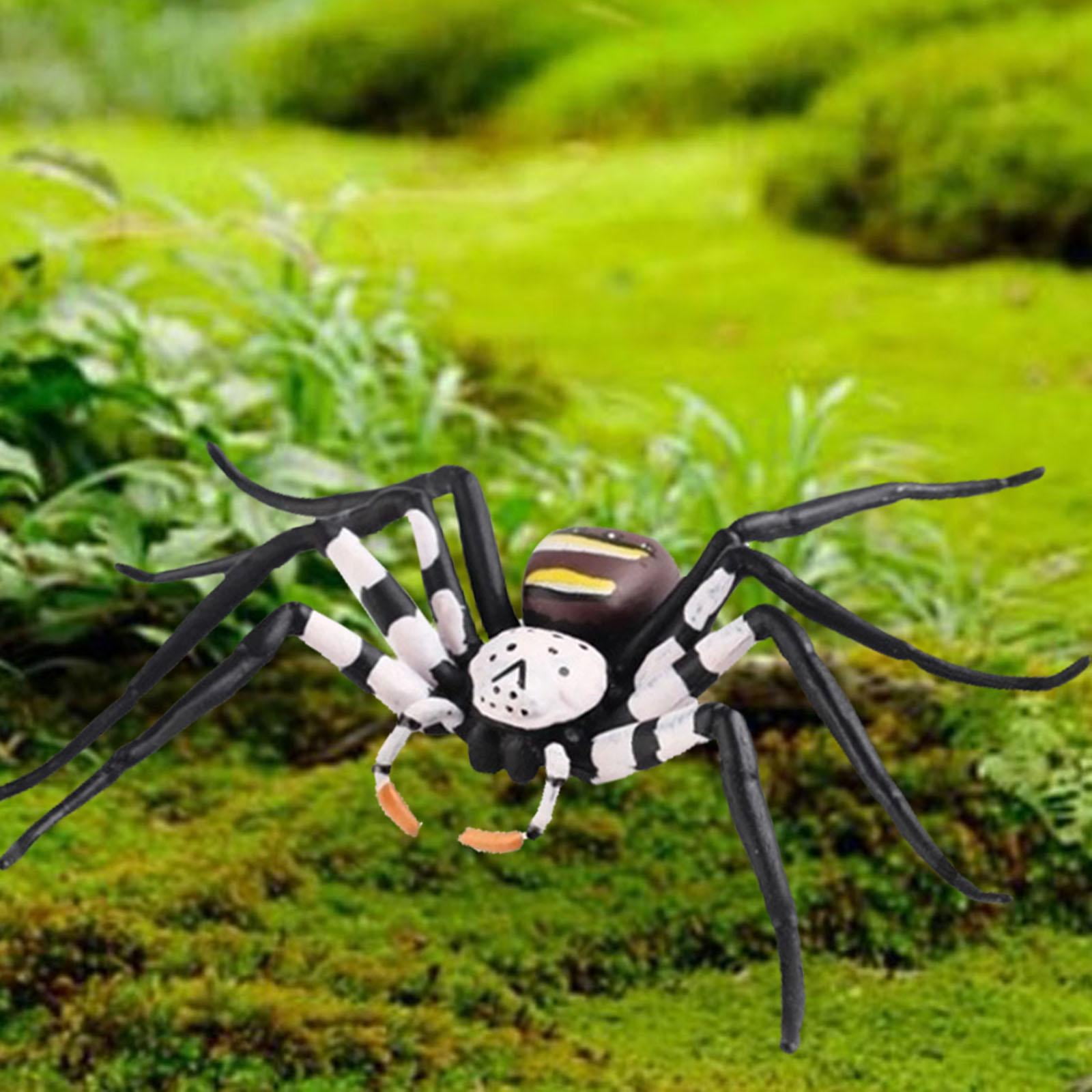 PETSOLA Hand Painted Mini Spider Figurine Model, Lifelike Insect Toy ...
