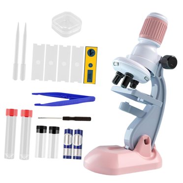 SmartLab The Amazing Squishy Brain - Walmart.com