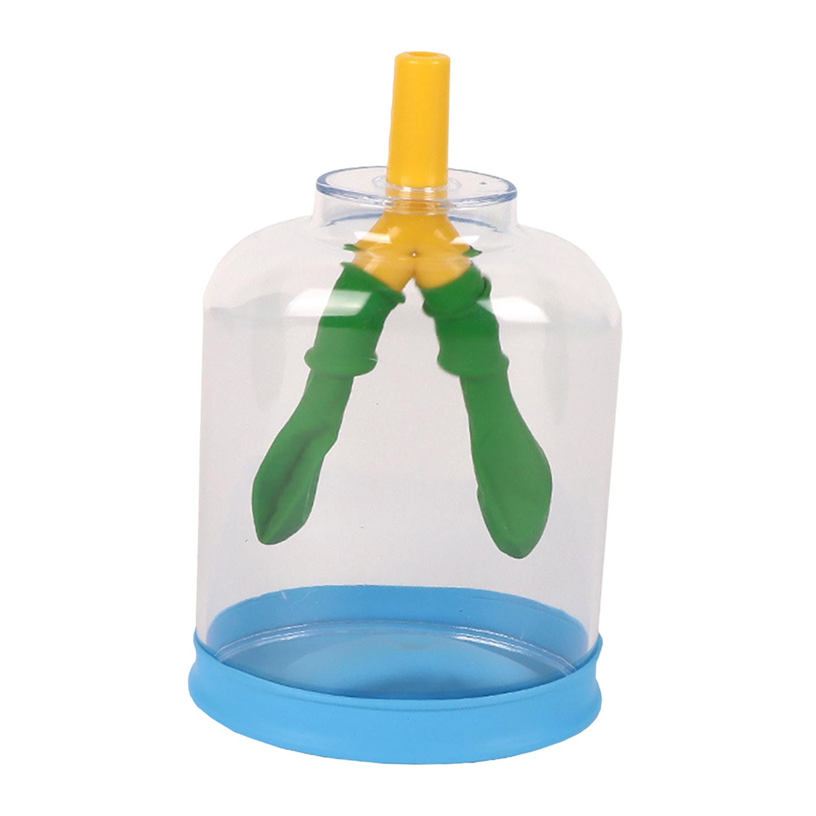 PETSOLA Kids Teaching Lung Demonstration Model Teaching Supply DIY ...