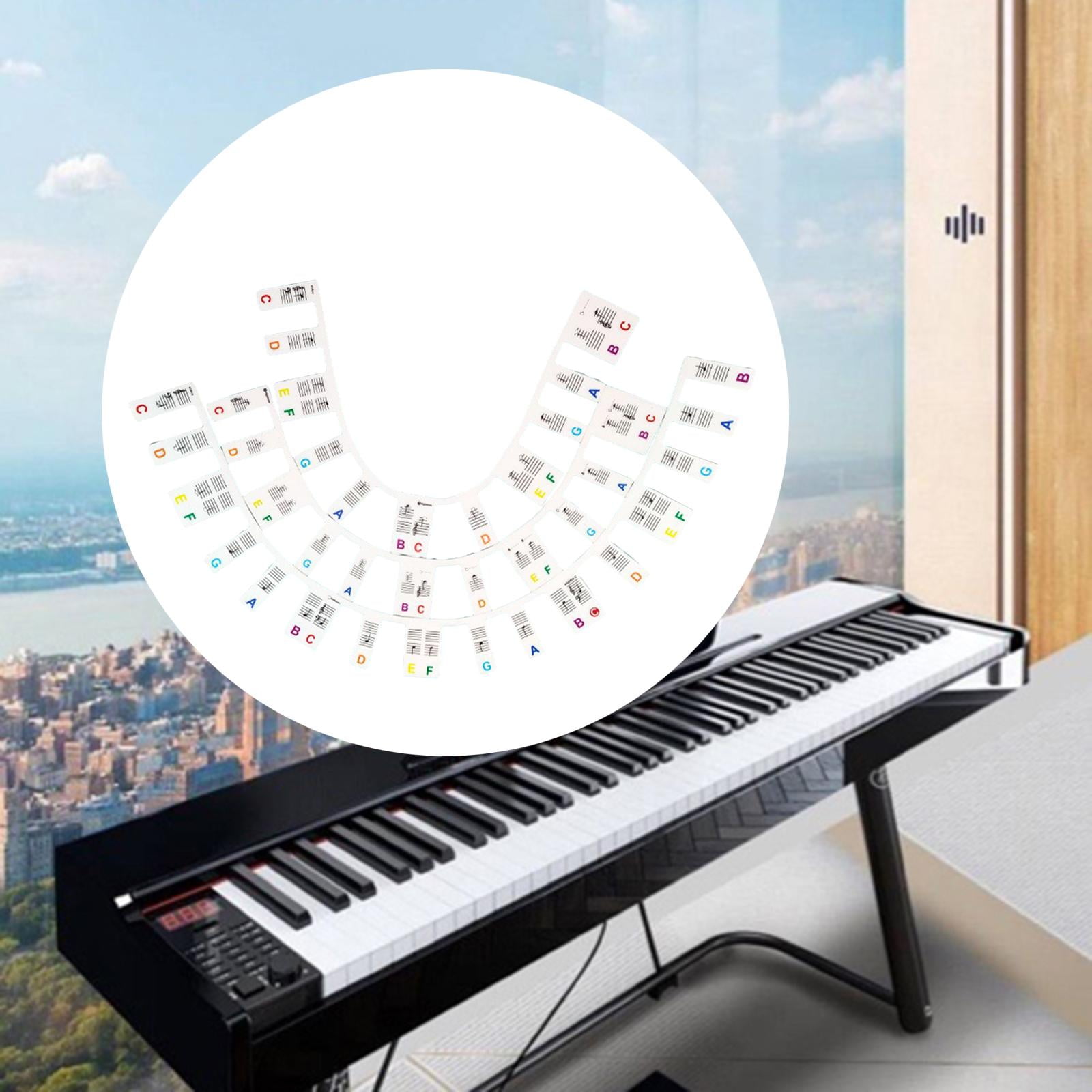 PETSOLA Piano Sticker Music Note Label Leaves, No Residue Removable ...