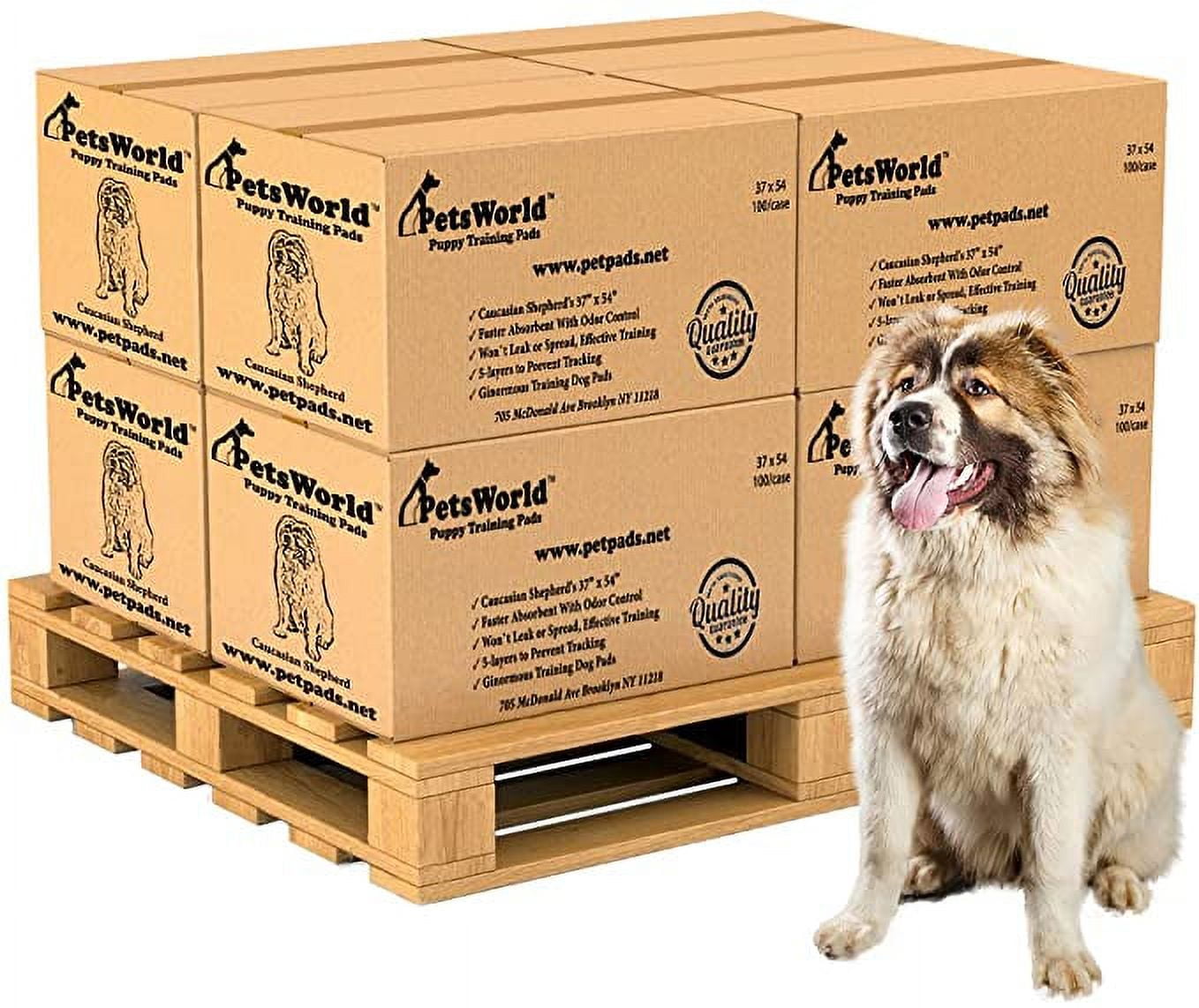 PETSWORLD XXXL Enormous Pet Potty Pads, 37x54 inch, 800 Count, Tear Resistant and Extremely ...