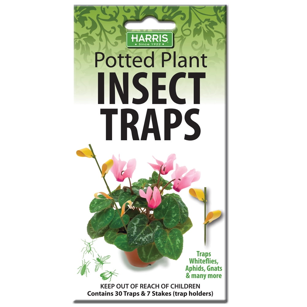 PF Harris Indoor Sticky Bug Control for Potted House Plants (30 Traps ...