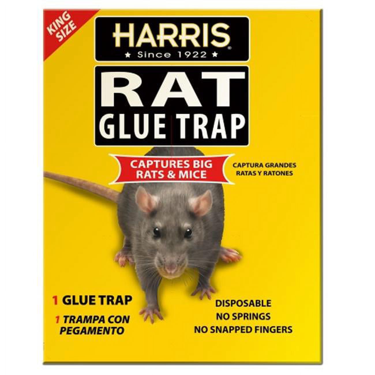PF Harris Rat & Mouse Glue Trap - King Sized - Walmart.com