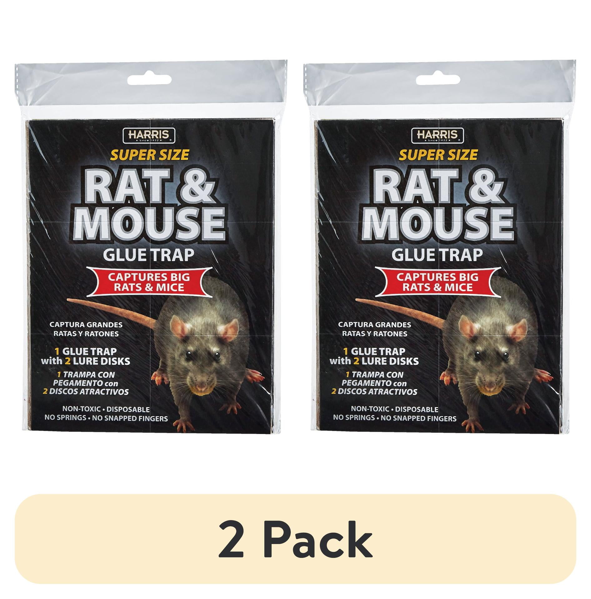 (2 pack) Harris Super-Sized Rat and Mouse Glue Trap with Lure, 1 Trap ...