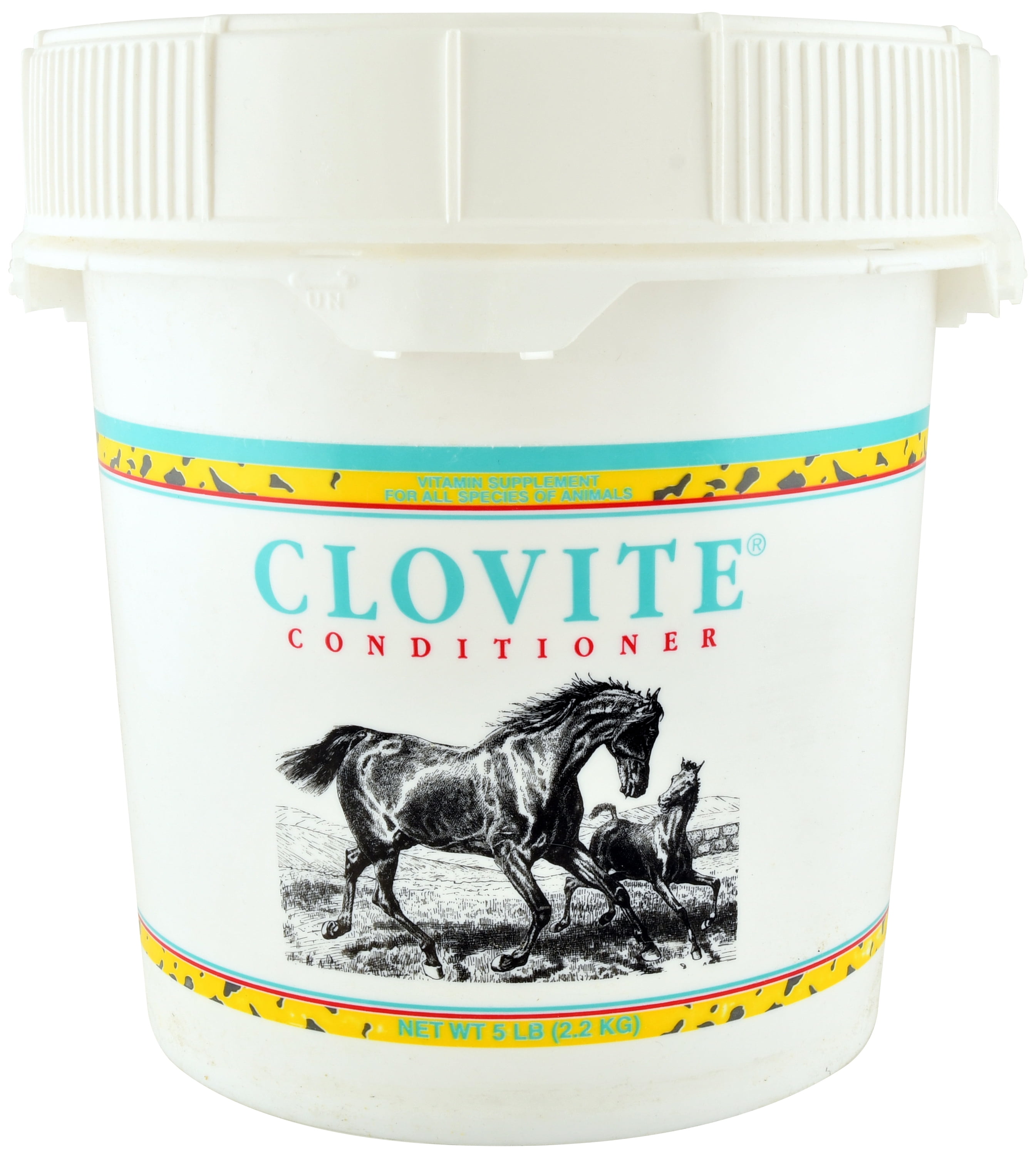 PFIZER Equine Clovite Vitamin Supplement - Walmart.com