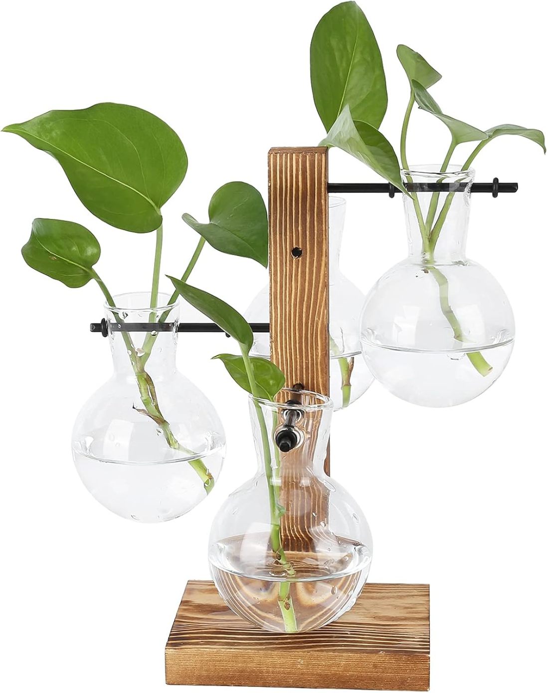 PGSP Glass Bulb Vase with Vintage Wooden Stand,Transparent Desktop ...
