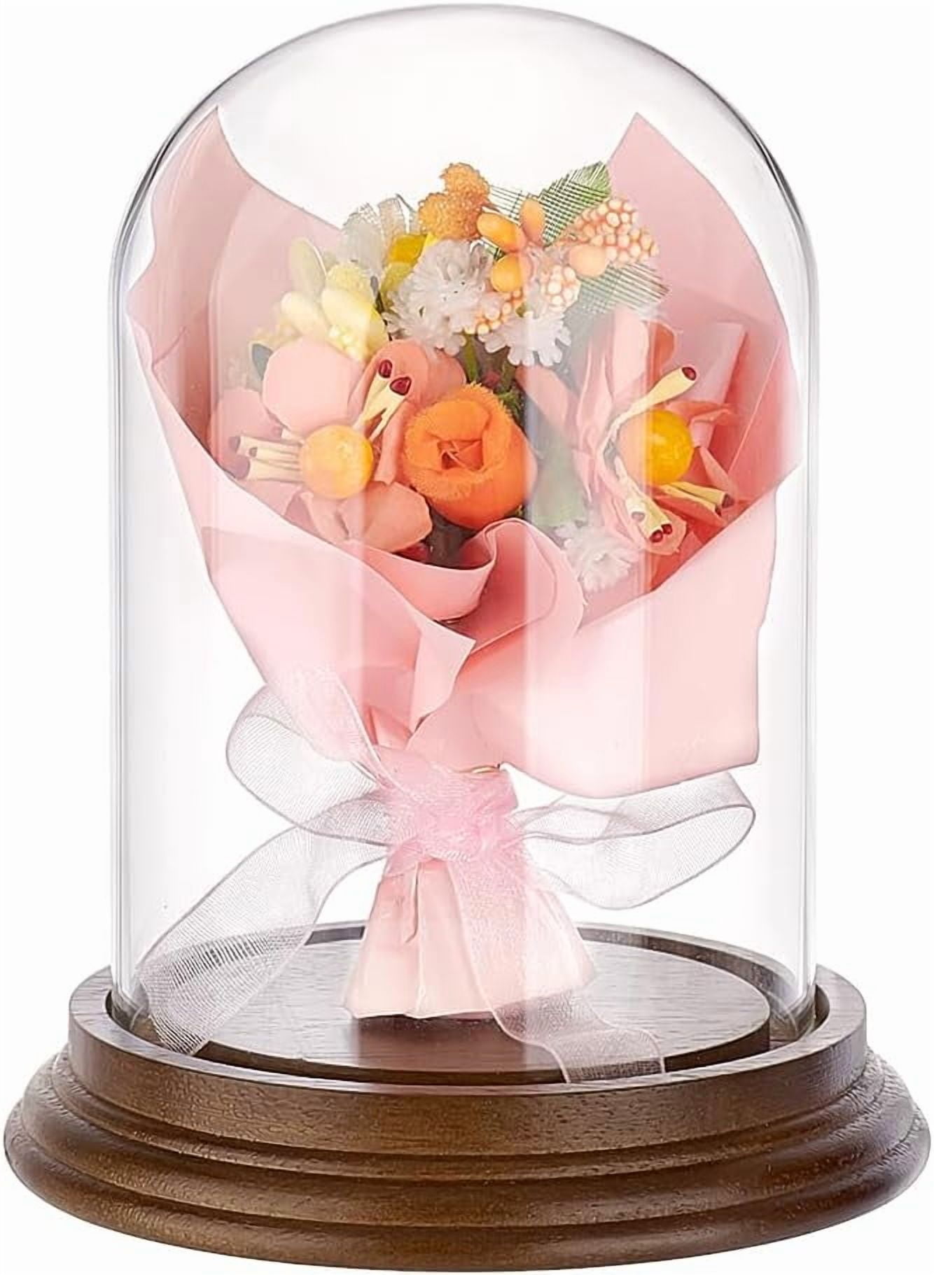 PH 4.2" x 5.5" Glass Display Dome Cloche Clear Bell Jar Display Case ...