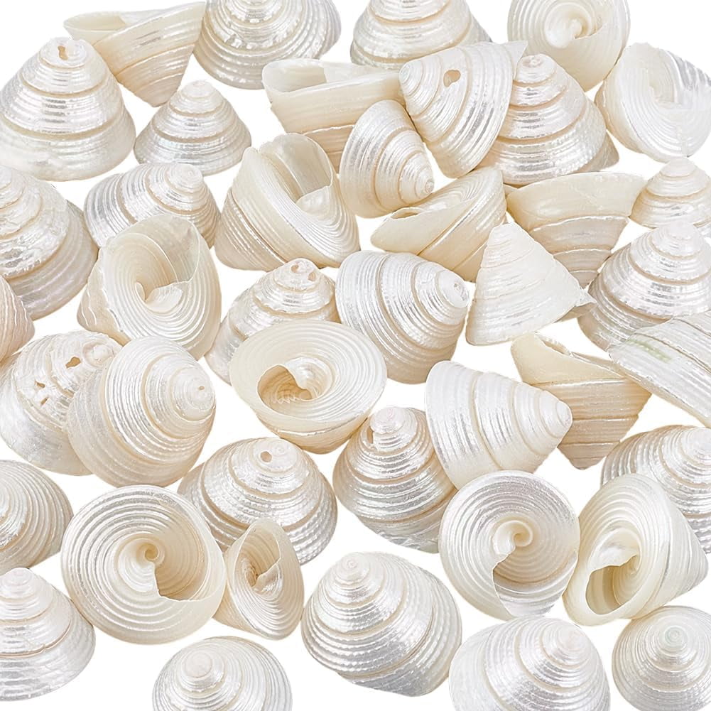 PH Natural Undrilled Spiral Seashells 100g(42pcs) Ocean Beach Sea ...