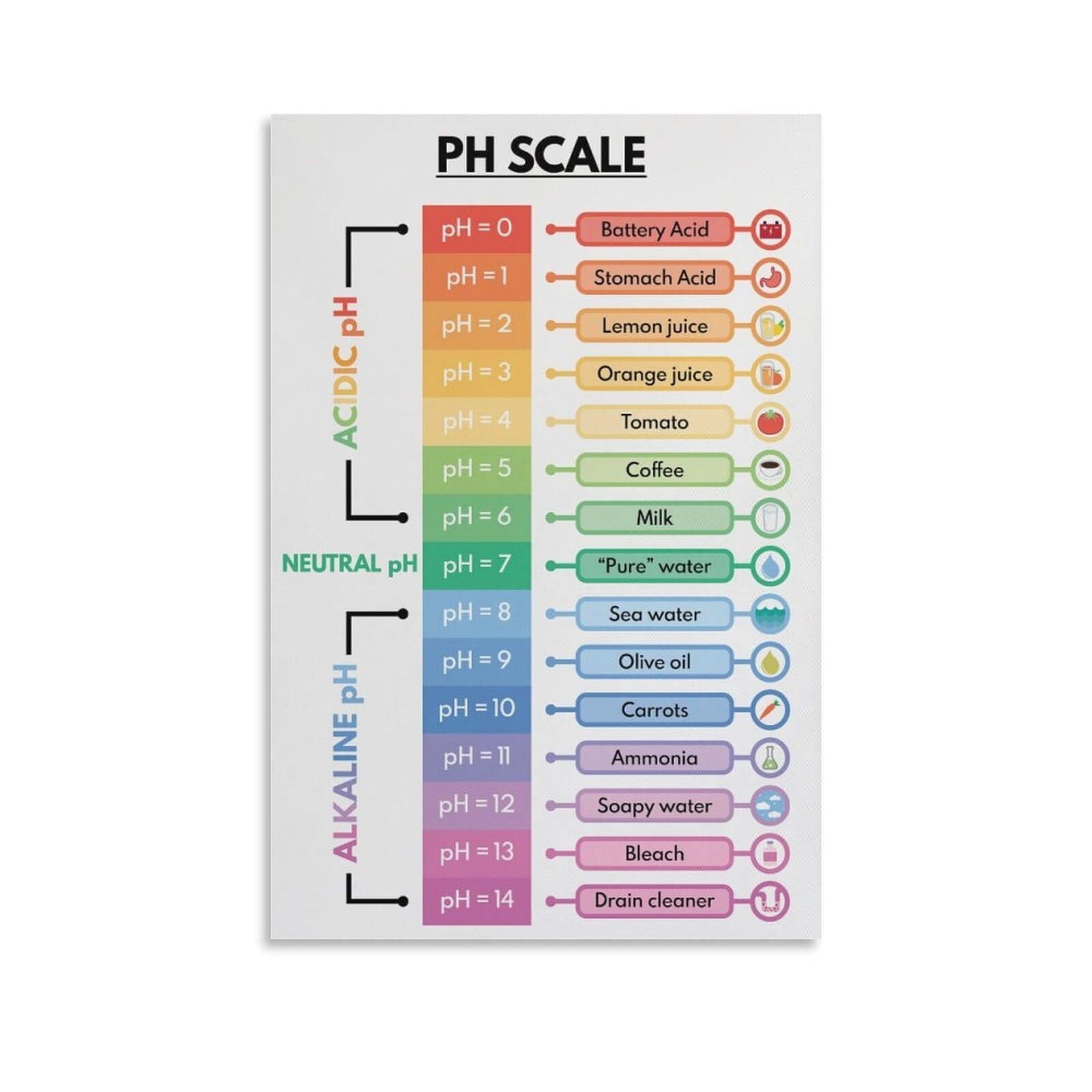 PH SCALE Poster Science Living Room Bedroom Decorative Painting Canvas ...