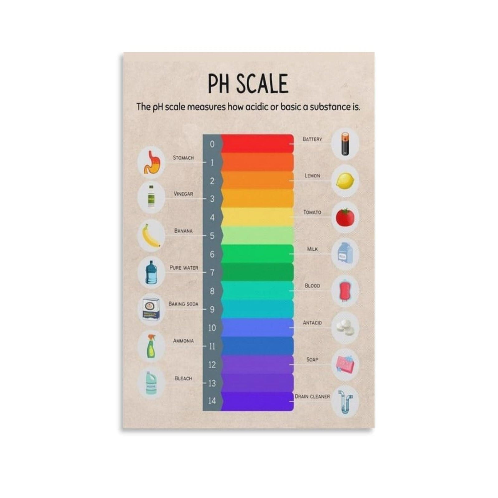 PH SCALE Poster Vintage Acids And Bases Poster Science Classroom Decor ...