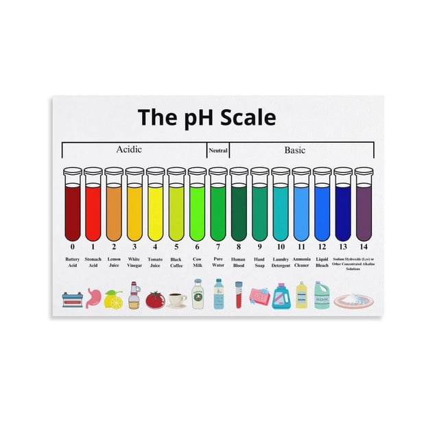 PH Scale Chart Chemistry Poster for Classroom Poster - Walmart Business ...