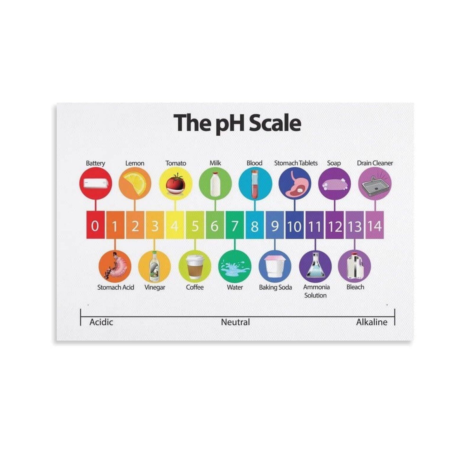 PH Scale Chart Science Classroom Decor Chemists Educational Poster ...