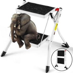 Two Tier Step Ladder