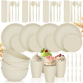 Picnic Dinnerware Sets