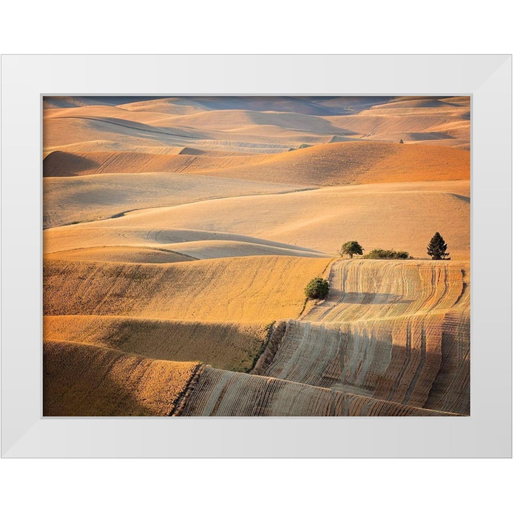 PHBurchett 14x12 White Modern Wood Framed Museum Art Print Titled ...