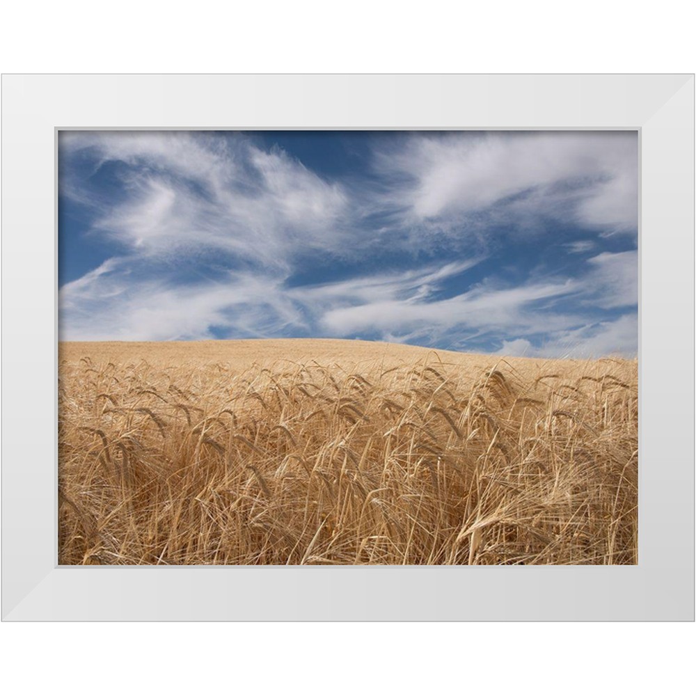 PHBurchett 14x12 White Modern Wood Framed Museum Art Print Titled ...