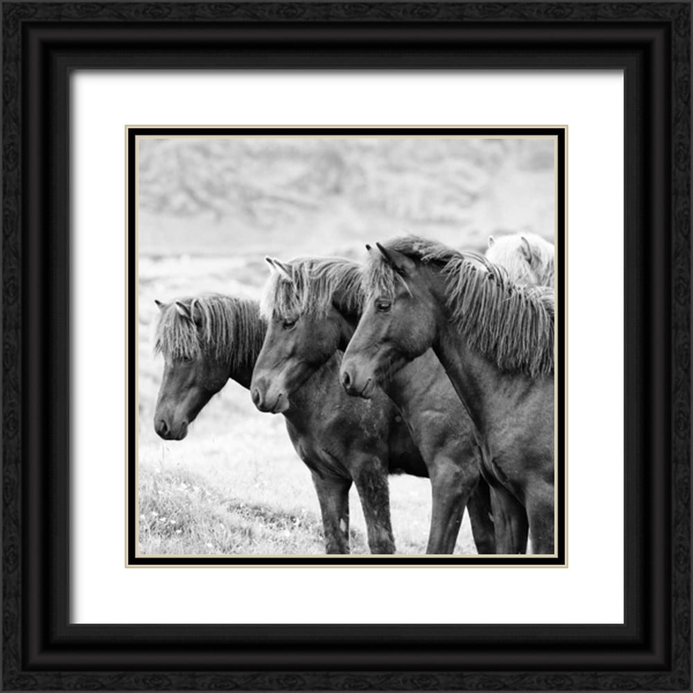 PHBurchett 20x20 Black Ornate Wood Framed with Double Matting Museum ...