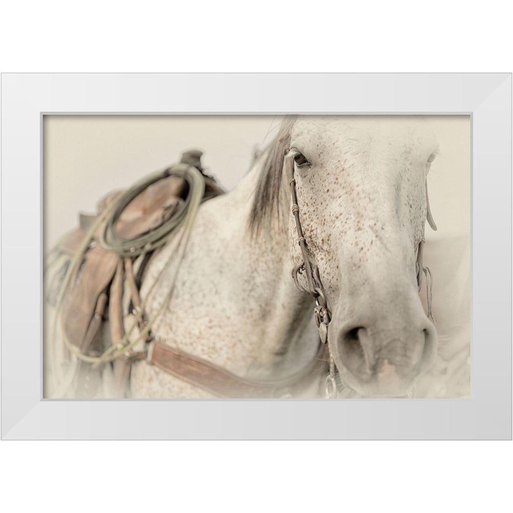 PHBurchett 24x17 White Modern Wood Framed Museum Art Print Titled - Cow ...