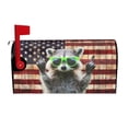 PHELIKA American Flag Painted Wood Wall Funny Raccoon Green Sunglasses ...
