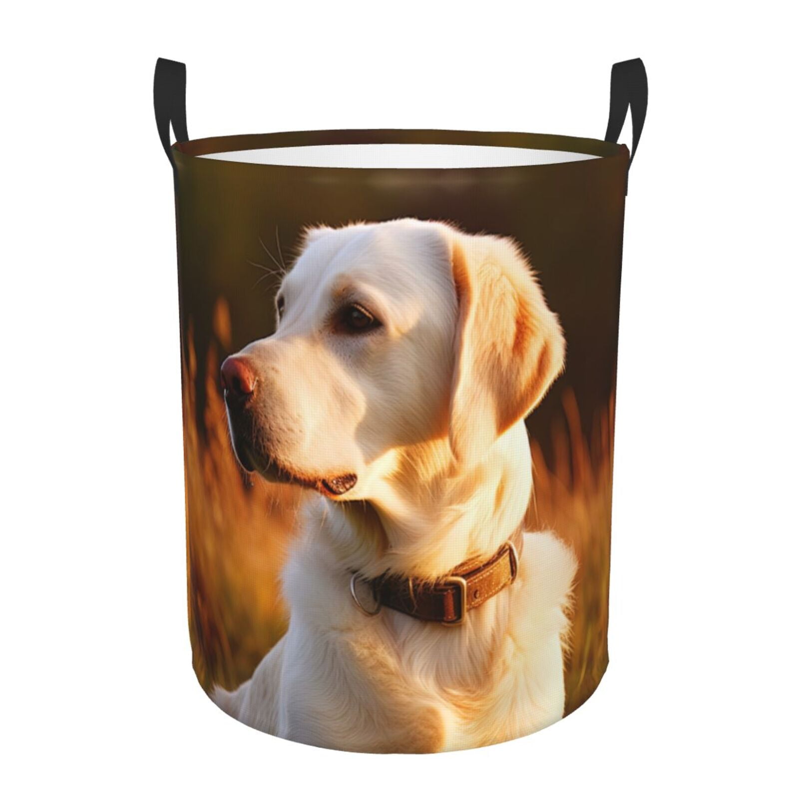 PHELIKA Golden Lab Labrador Family Loyal Hunting Dog 02 Laundry Hamper ...