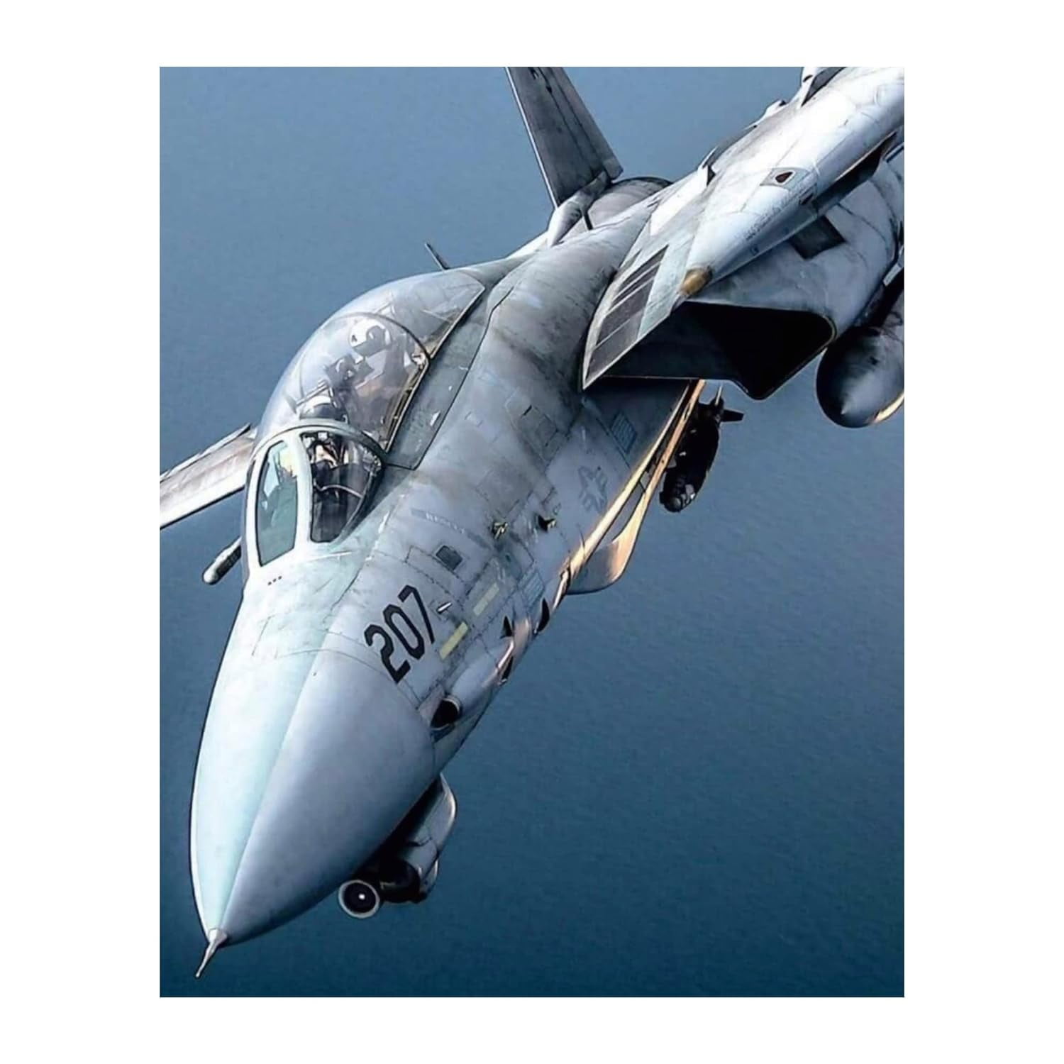 PHFZJYOU F 14 Tomcat Fighter Jet Military This American Aircraft Themed ...