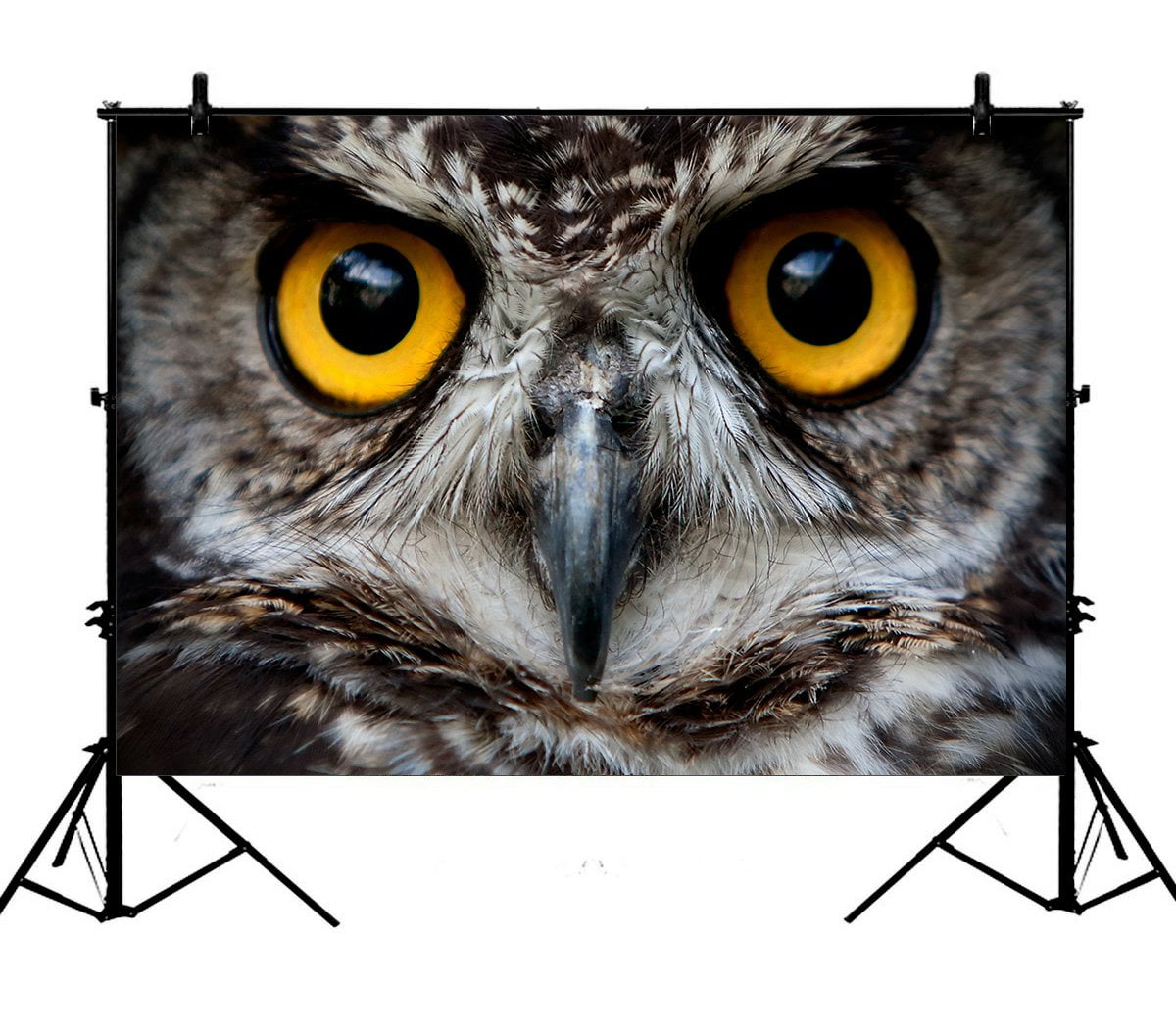 PHFZK 7x5ft Abstract Backdrops, Animal Owl Night Owl Photography ...