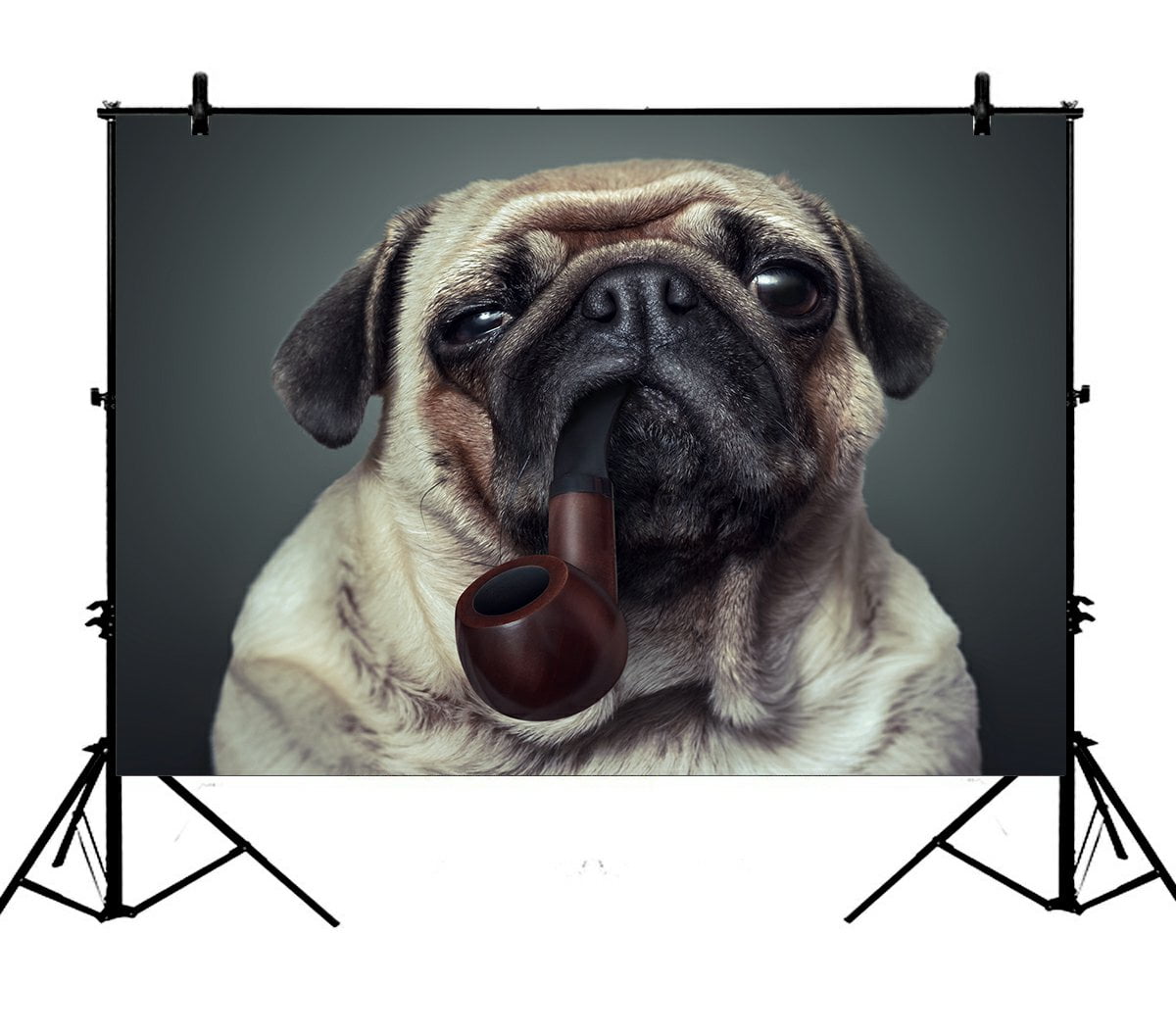 PHFZK 7x5ft Animal Backdrops, Funny Pug Dog with a Tobacco Pipe ...
