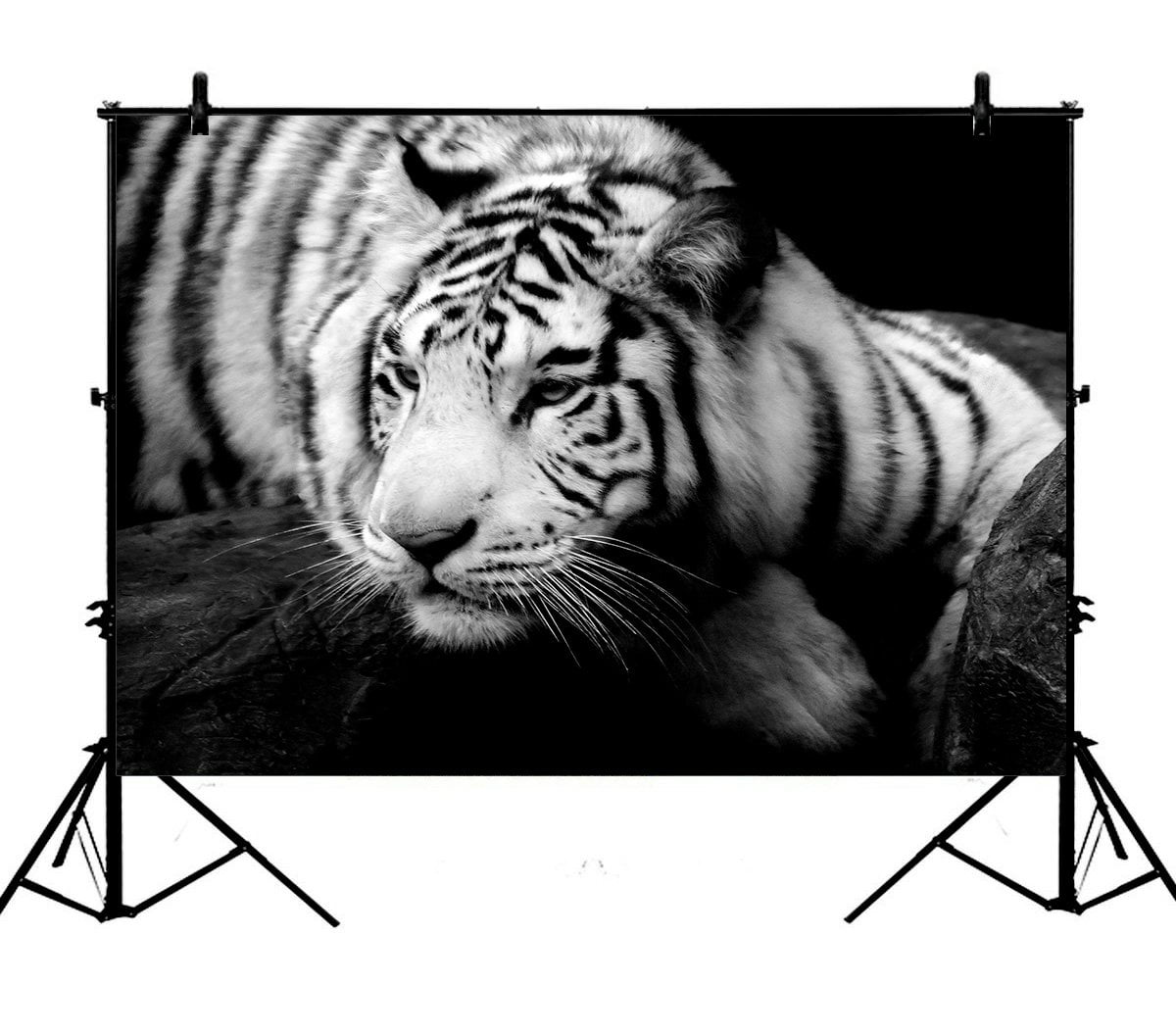 PHFZK 7x5ft Animal Backdrops, Lazy Siberian Tiger Black and White ...