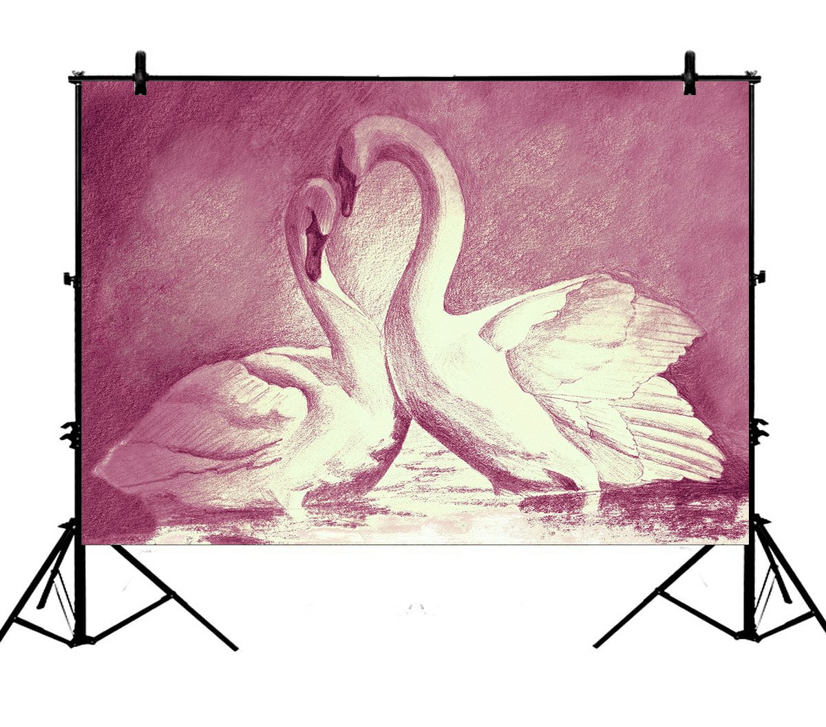 PHFZK 7x5ft Animal Backdrops, Loving Swans Photography Backdrops ...