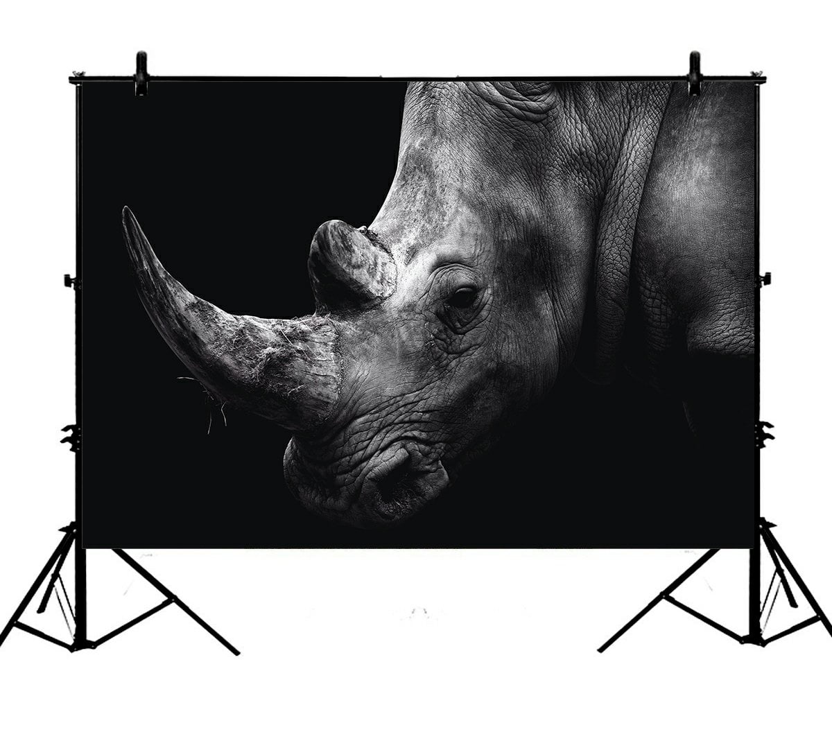 PHFZK 7x5ft Animal Backdrops, Rhino Black and White Photography ...