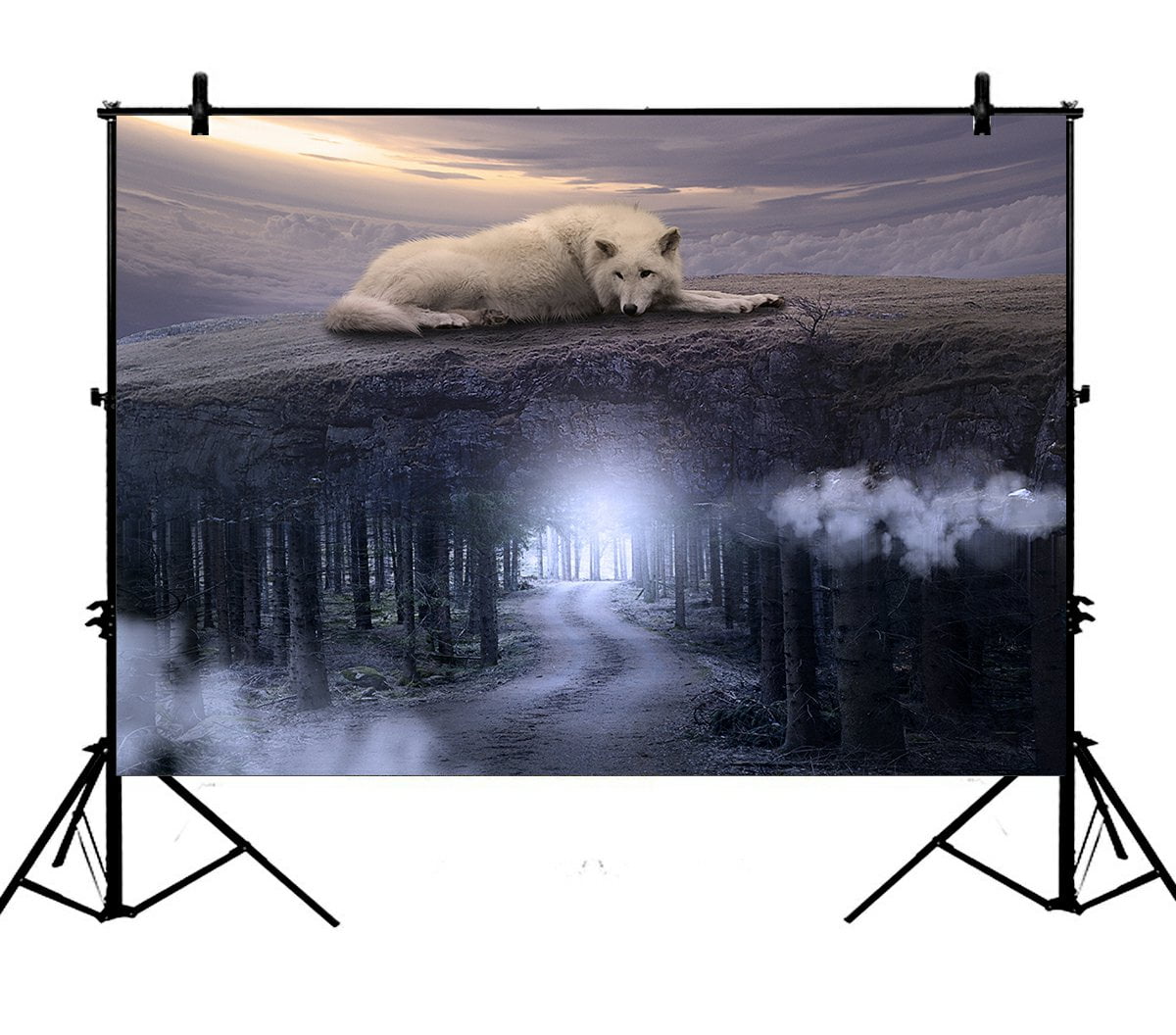 PHFZK 7x5ft Animal Backdrops, a Lovely Wolf in the Mystic Forest ...