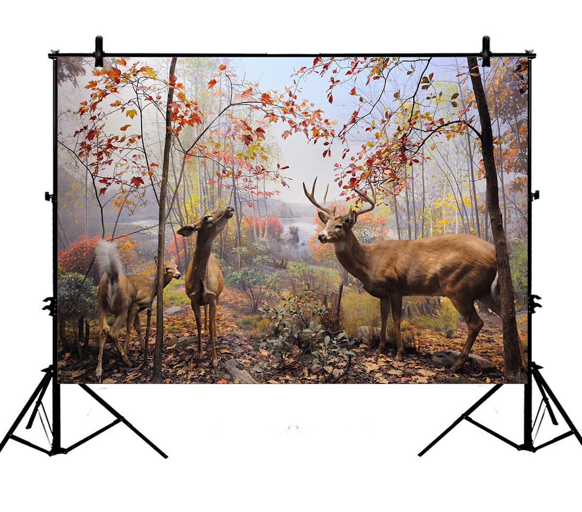 PHFZK 7x5ft Autumn Landscape with Maple Leaves Backdrops, Deer Reindeer ...