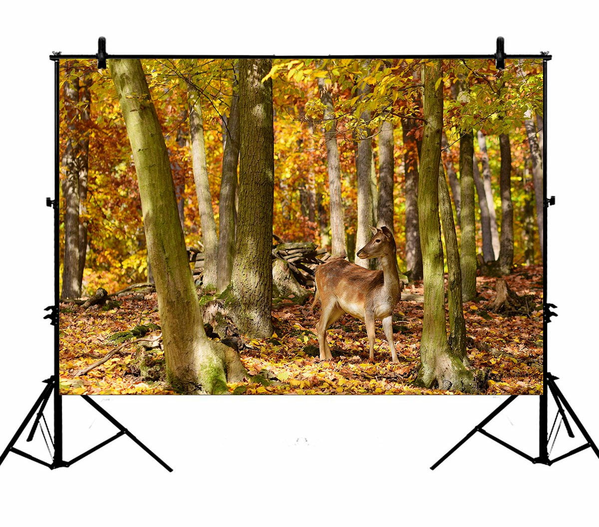 PHFZK 7x5ft Autumn Nature Backdrops, Deer in the Forest Photography ...