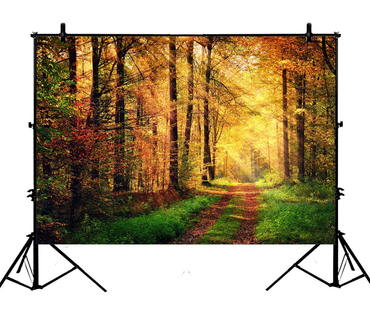 PHFZK 7x5ft Autumn Scene Backdrops, Autumn Trees in Sun Light Landscape ...