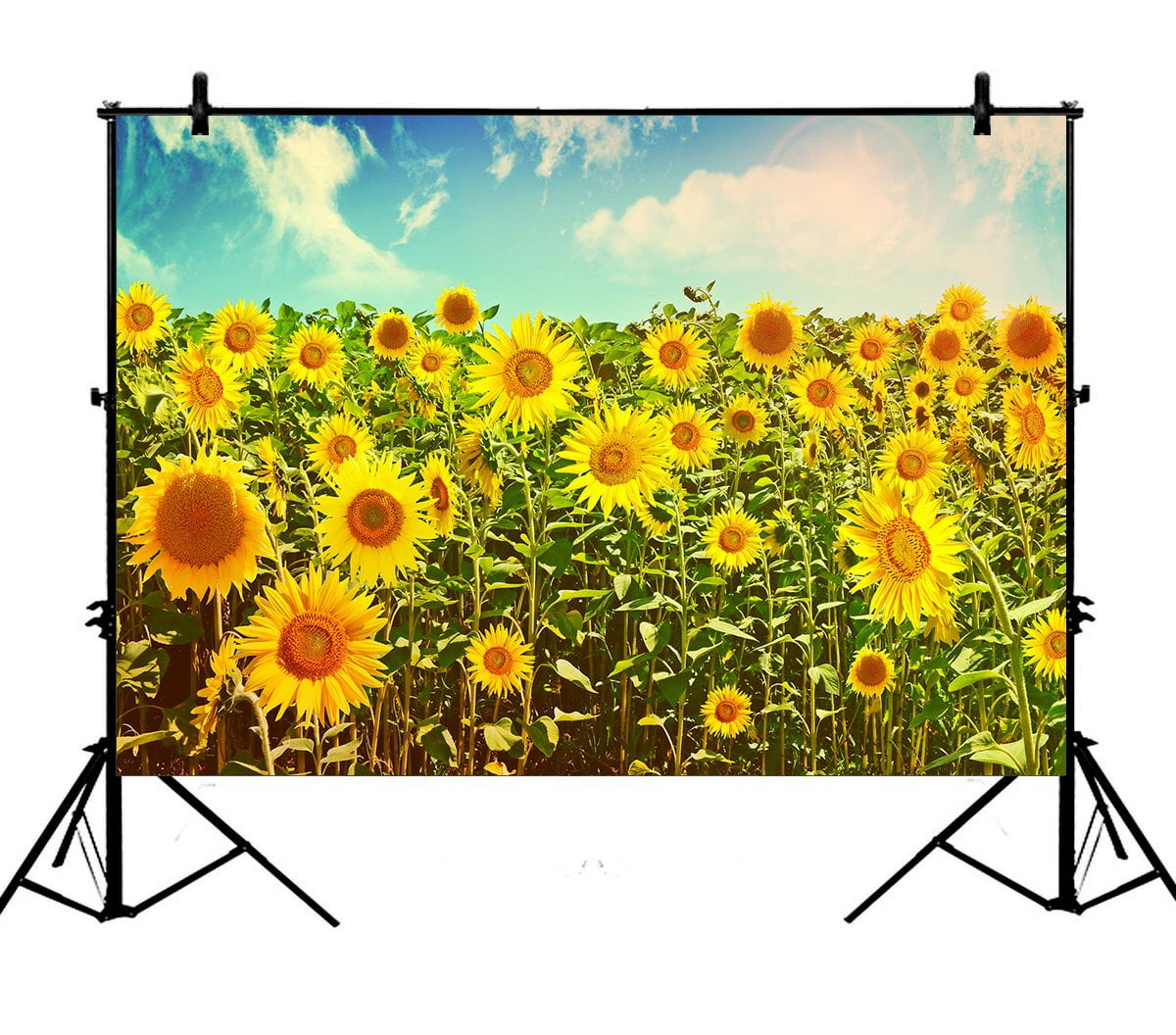 PHFZK 7x5ft Beautiful Sky Cloud Backdrops, Nature Art Sunflowers field ...