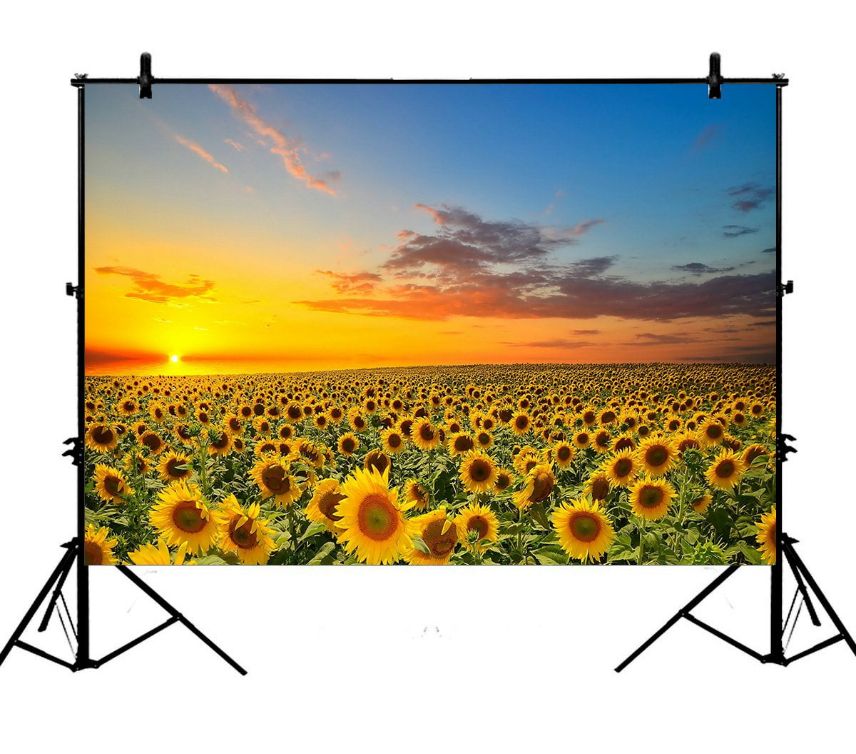 PHFZK 7x5ft Beautiful Sunset Scenery Backdrops, Nature Art Sunflower ...