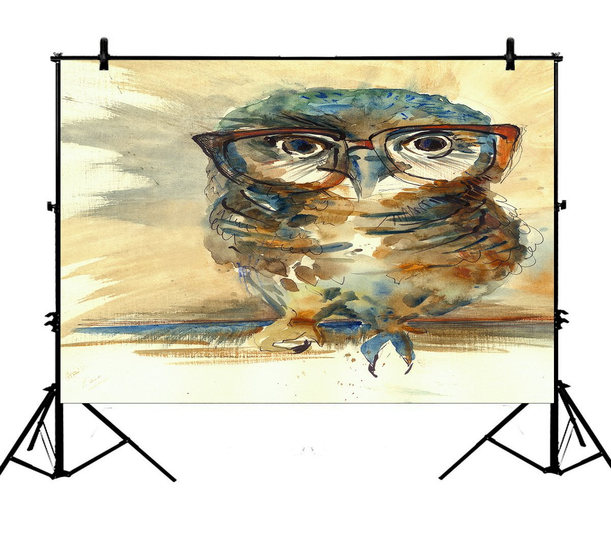 PHFZK 7x5ft Bird Animal Backdrops, Colorful Owl Art Night Owl ...
