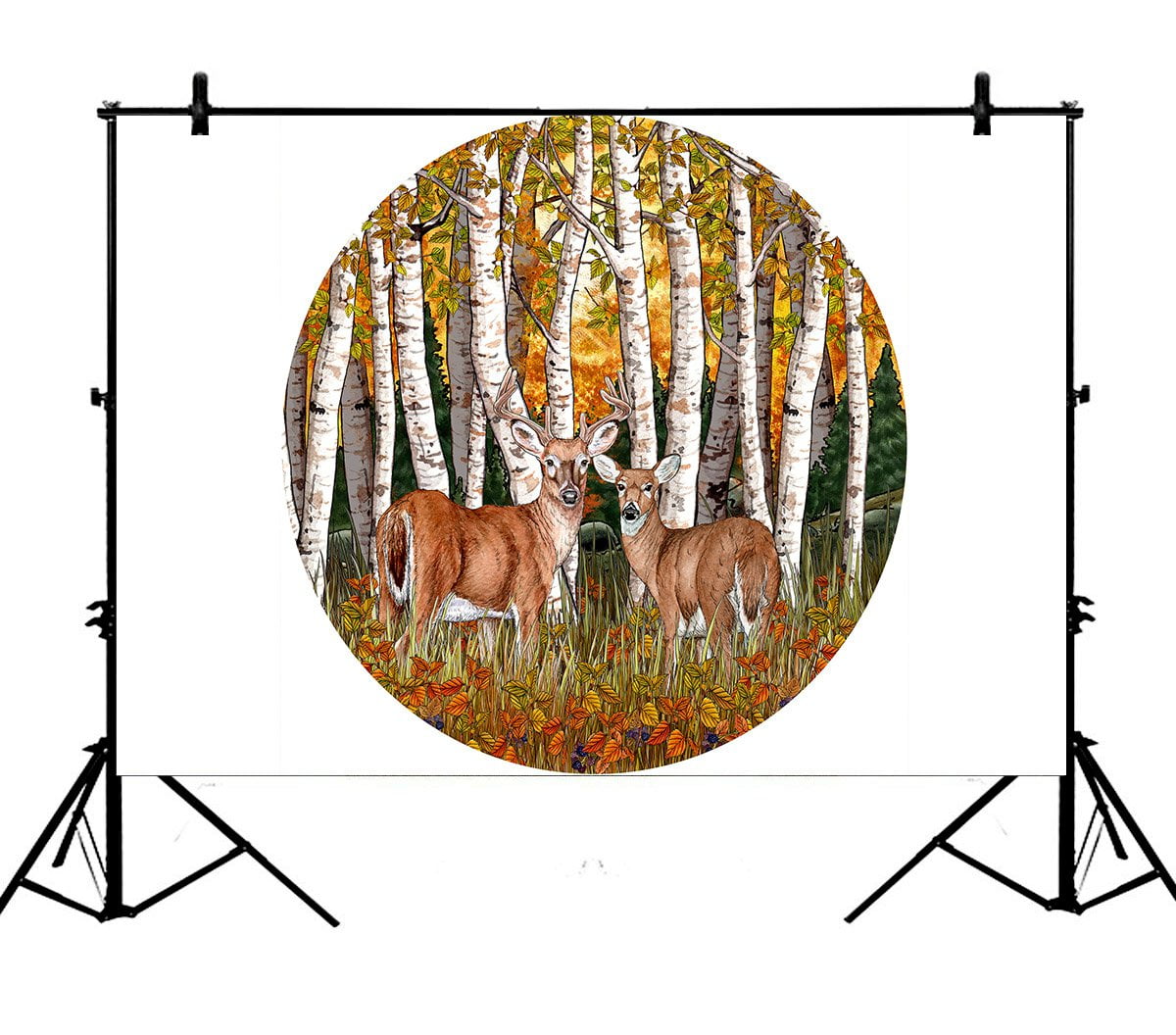 PHFZK 7x5ft Deer Animal Backdrops, Birch Forest Tree Branch Photography ...