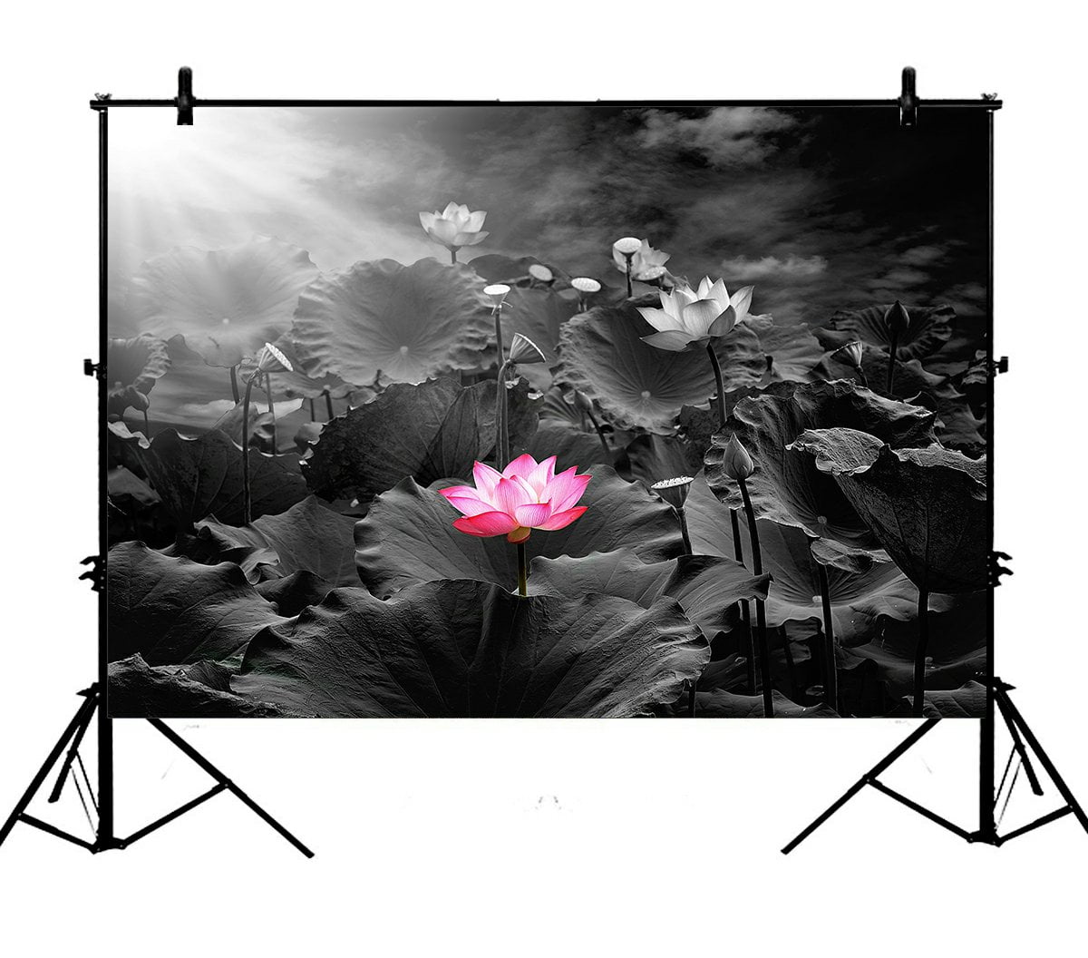 PHFZK 7x5ft Floral Backdrops, Lotus Flower Photography Backdrops ...
