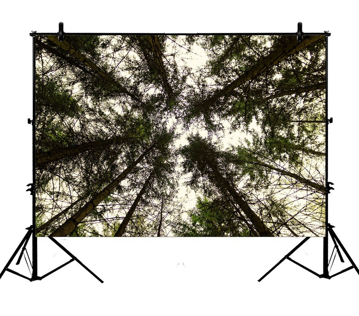 PHFZK 7x5ft Forest Woodland Backdrops, Growing Stretching Tree to the ...