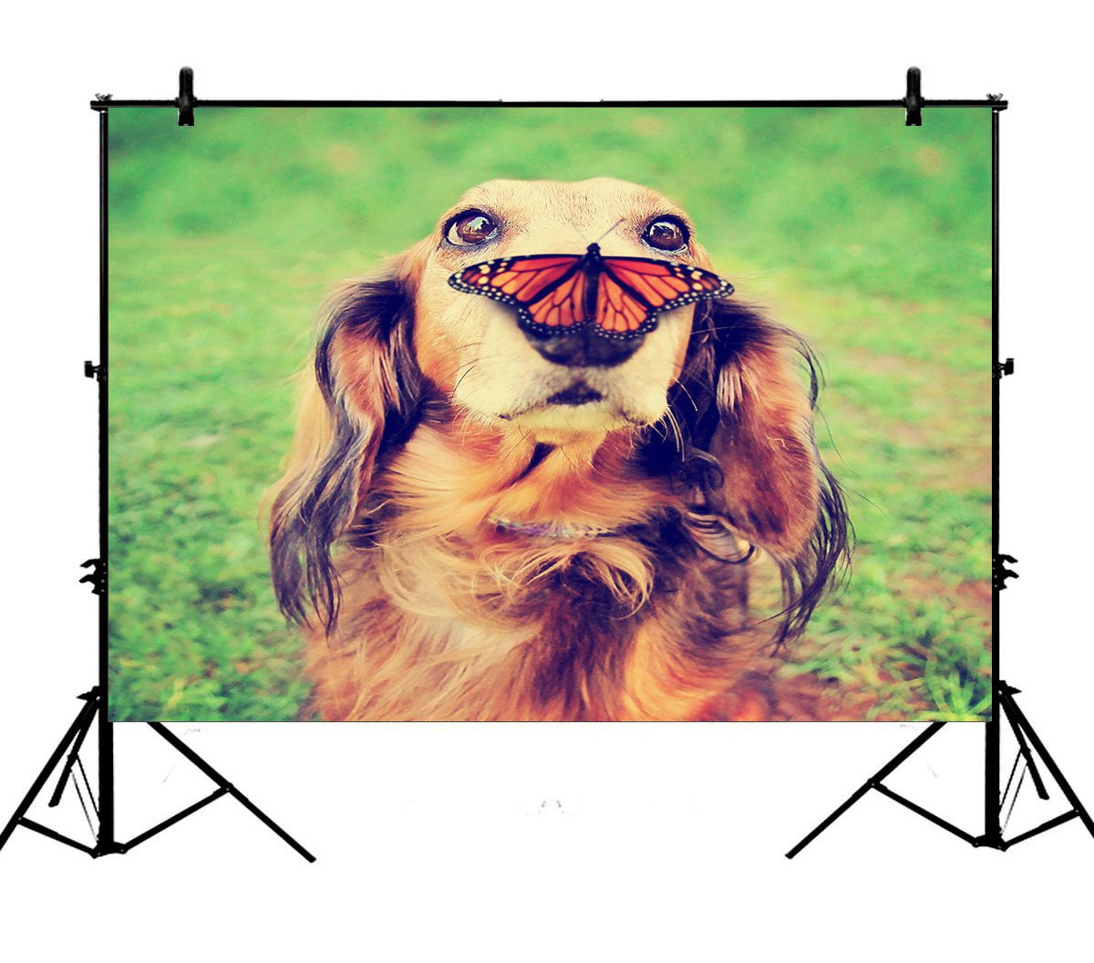 PHFZK 7x5ft Funny Animal Vintage Retro Style Backdrops, Cute Dachshund ...
