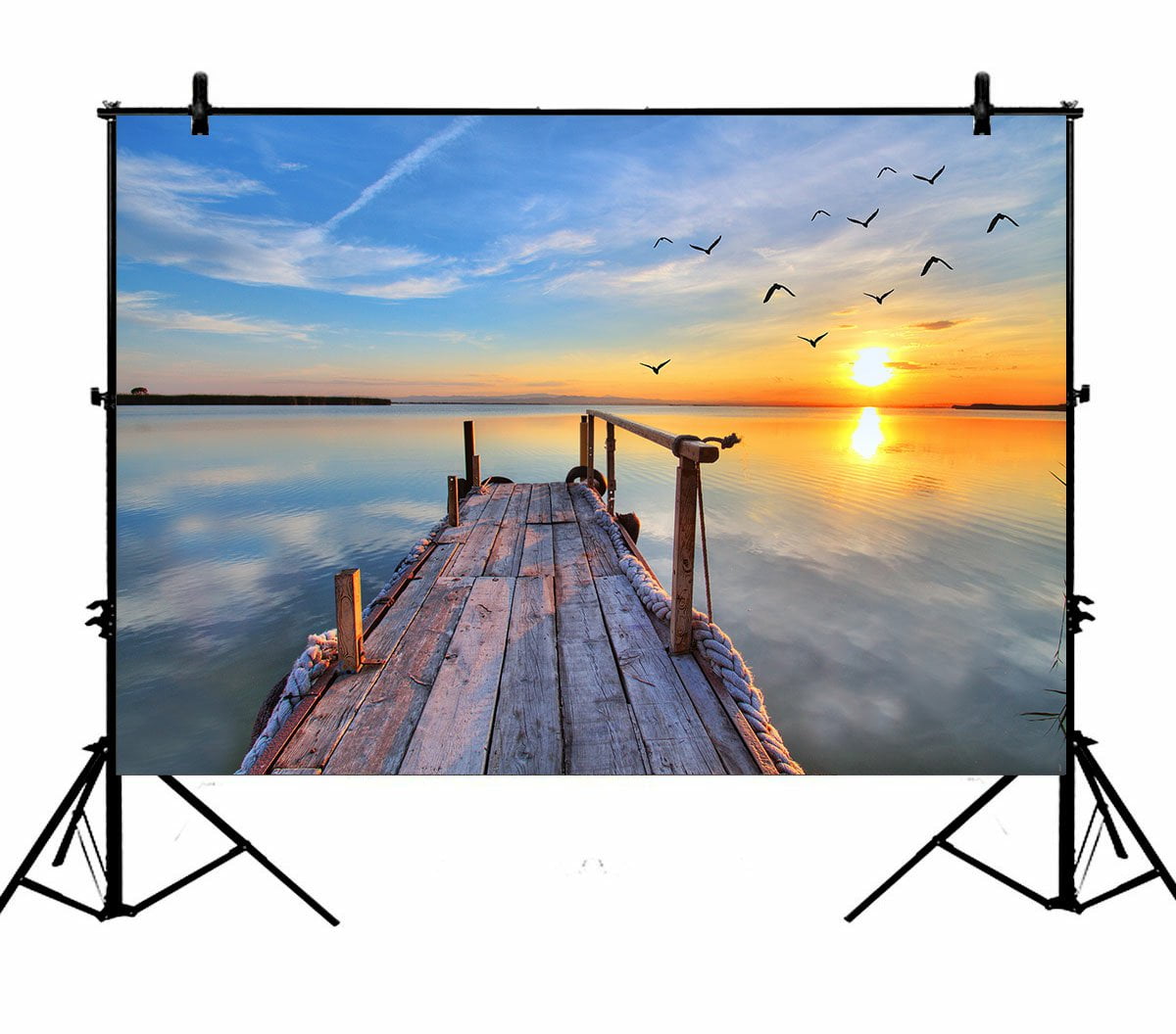 PHFZK 7x5ft Landscape Backdrops, Bird Flying the Ocean at Sunset Time ...