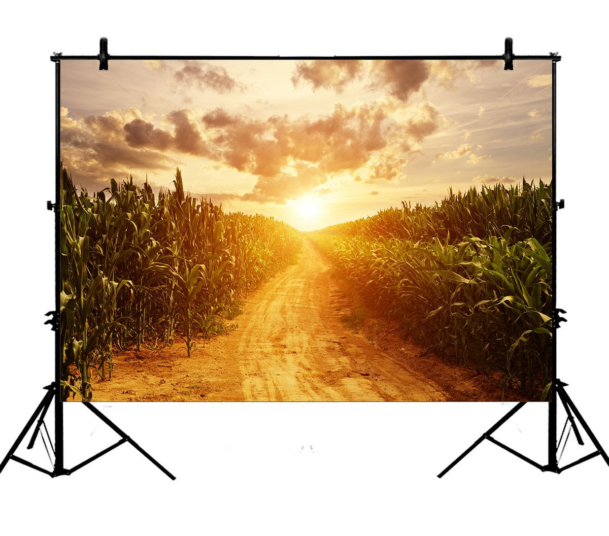 PHFZK 7x5ft Landscape Backdrops, Skyline and Corn Field Harvest ...