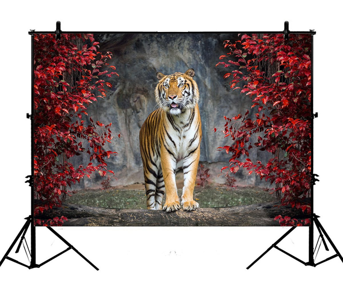PHFZK 7x5ft Landscape Nature Scenery Backdrops, Animal Tiger ...