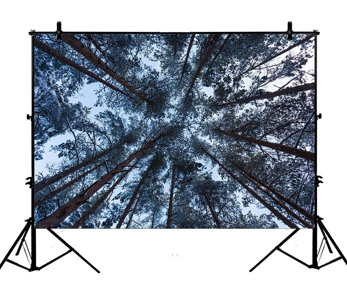PHFZK 7x5ft Landscape Nature Scenery Backdrops, Spruce Tree Forest ...