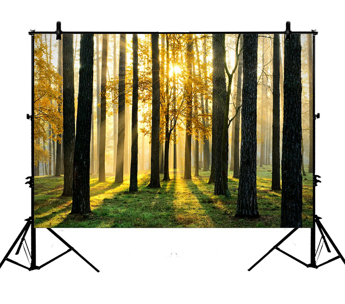 PHFZK 7x5ft Landscape Nature View Backdrops, Tree with Beautiful ...