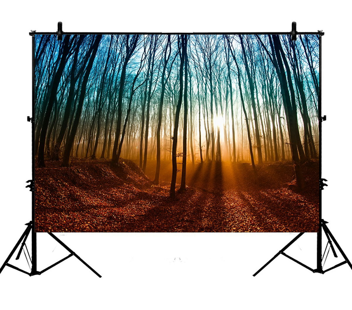 PHFZK 7x5ft Misty Forest Landscape Backdrops, Art Tree Branches with ...